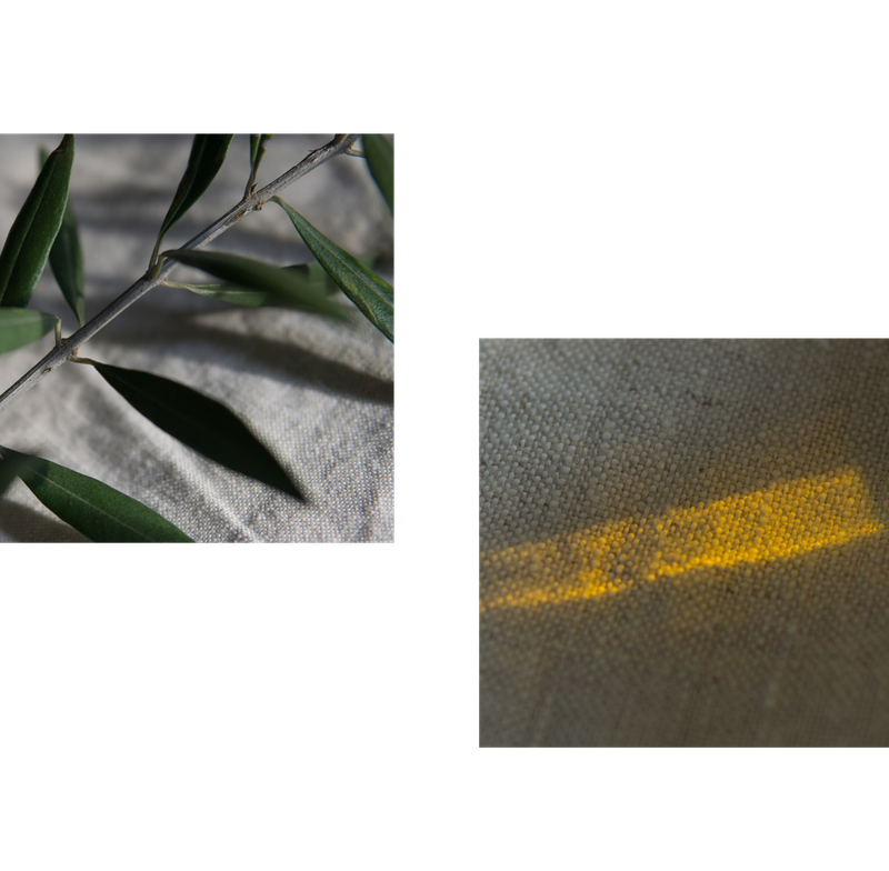 Maria Leona - ela gabriela design